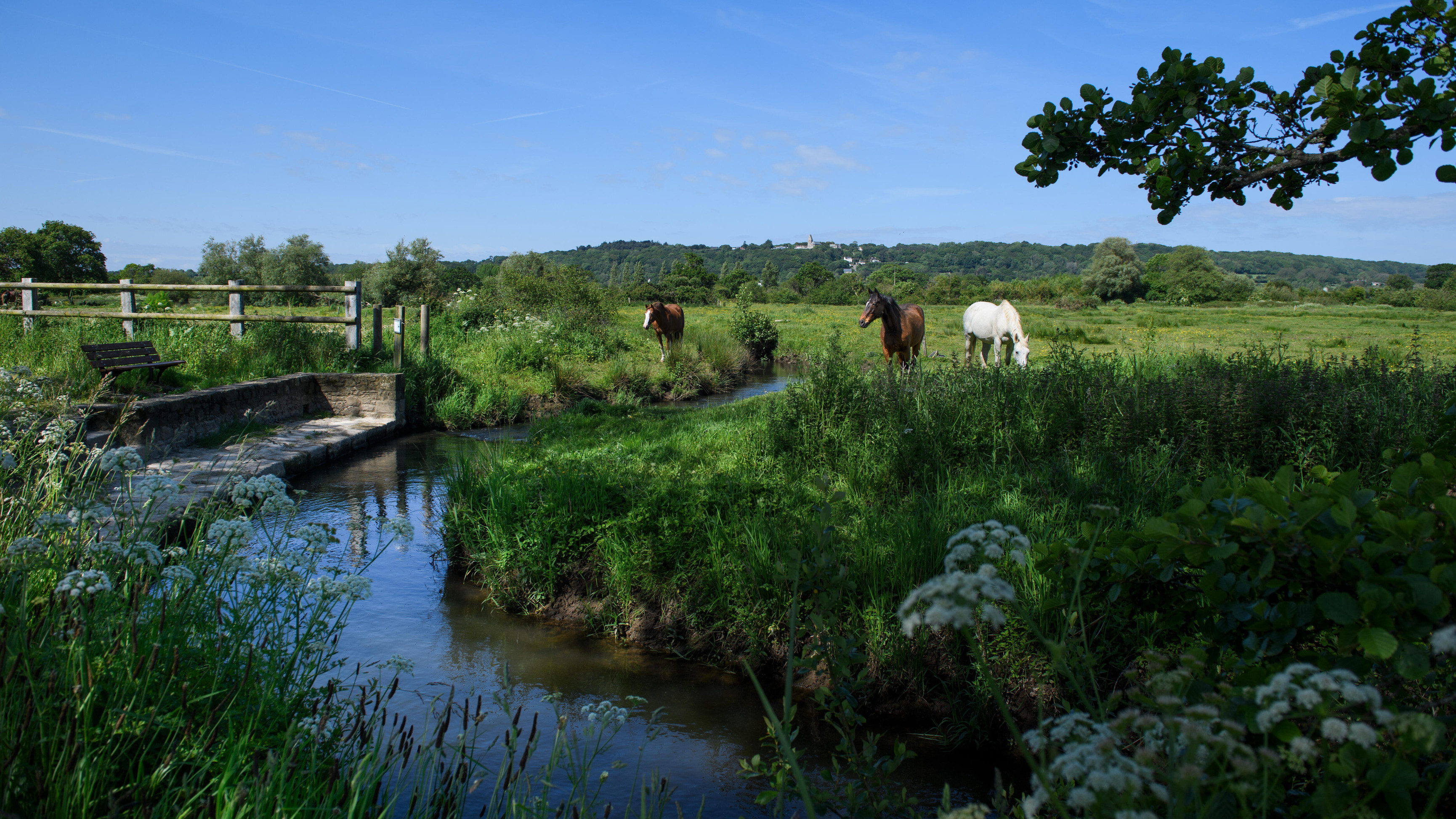 King Nino’s Retirement in Normandy - Steve Guerdat, swiss rider in ...